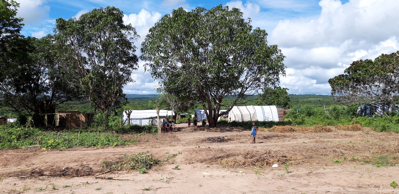 “Fugimos da nossa terra natal por causa da guerra, chegamos a Metuge ...