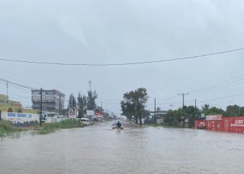 Verdade – A verdade em cada palavra